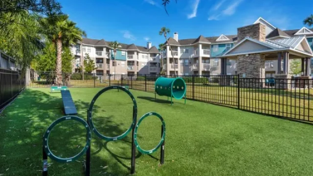 Anchor at South Shore | Rise Apartments