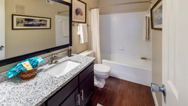 Anchor at South Shore | Rise Apartments