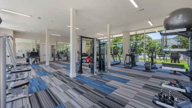 Mansions at Oak Point | Rise Apartments